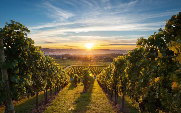 10 Picnic Spots Near Kolhapur In 2026: Updated List