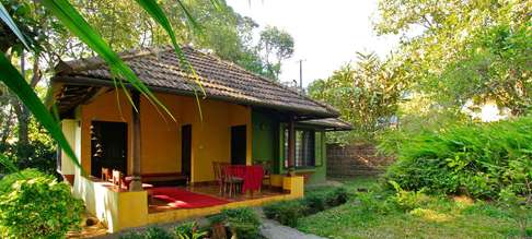 wildernest homestay kemmangundi